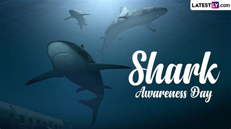 Viral News Mind Blowing Facts About Sharks For International Shark