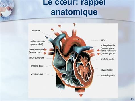 Comprendre La Classification De Carpentier Des Maladies Valvulaires Cardiaques Wemag