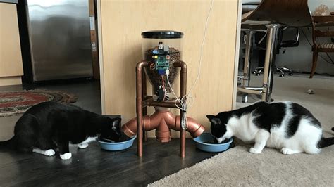 building a steampunk cat feeder with a gmail triggered raspberry pi