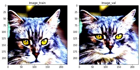Pythonフレームワーク：pytorchによる自作datasetsdataloaderの作成｜kiyo