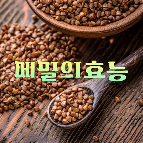 메밀 효능 영양성분 고르는 법 부작용
