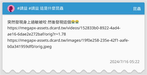 請益 請益 這是什麼昆蟲 昆蟲板 Dcard