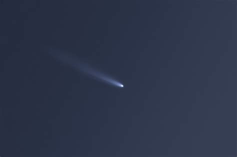 สมาคมดาราศาสตร์ไทย ☄️ ดาวหางg3 วันนี้มีหางยาวเพิ่มขึ้นเรื่อยๆ 😍 ขอบคุณภาพจาก Chris Schur