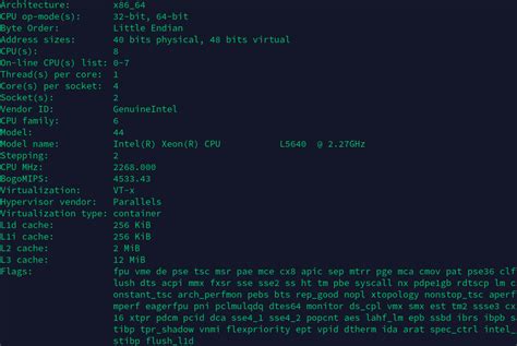 Bug All Engine · Issue 334 · Searxngsearxng · Github