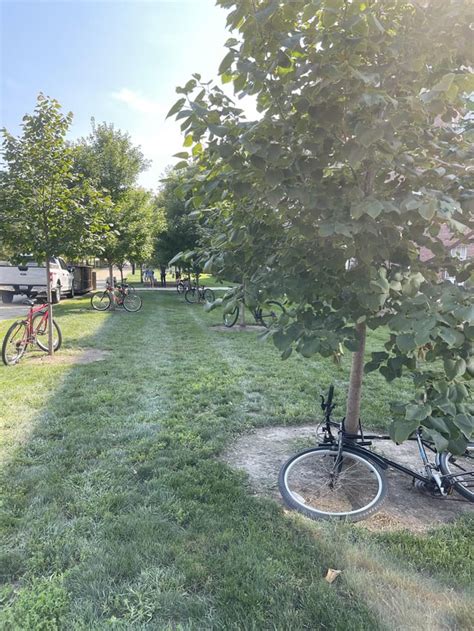 We Need More Bike Racks By The Cif Ruiuc