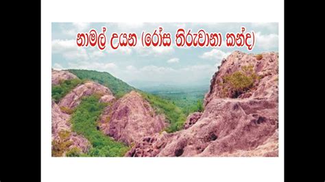 රෝස තිරුවානා කන්ද Youtube