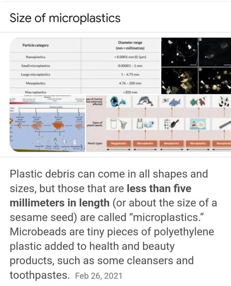 Size Of Microplastics Range Of Hing 200 Men Plastic Debris Can Come In
