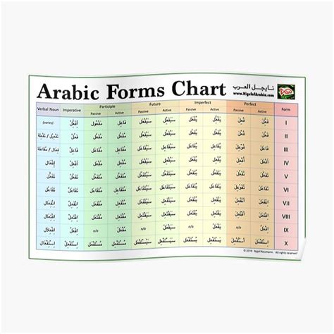 Arabic Forms Chart Verb Forms I X Premium Matte Vertical Poster Sold