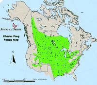 Frogs About This Study Journey North