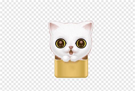 ลูกแมวสีขาวลูกแมวแมว Felidae หนวดน่ารักการ์ตูนลูกแมวน่ารัก สัตว์