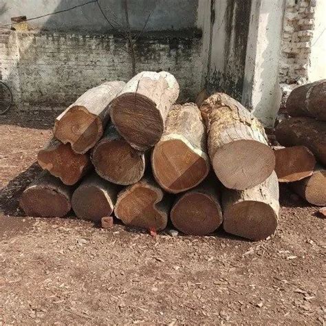 Brown Sheesham Wood Round Logs Length 1 6 M At Rs 950cubic Feet