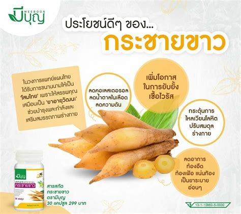 อาหารเสริม อาจารย์ศรเทพ ไอซ์เบิร์ก เอสไอเดียร์ จ ฉะเชิงเทรา กระชายขาว และขิง หนึ่งในสมุนไพรไทย