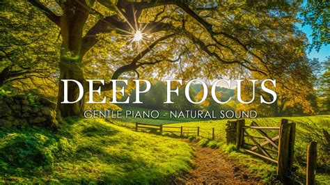 Ambient Study Music To Concentrate Music For Studying Concentration