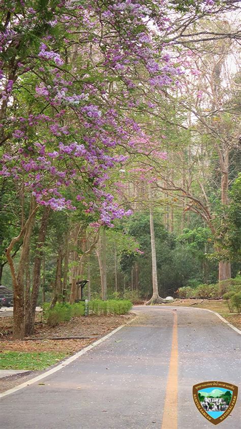 อุทยานแห่งชาติน้ำตกสามหลั่น