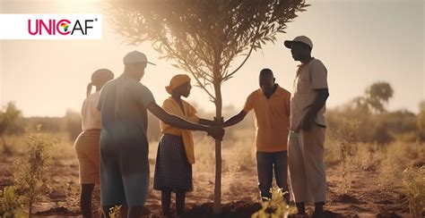 Le développement durable en Afrique Unicaf Scholarship Programme