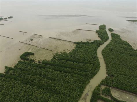 Environmental Monitoring And Management Plans