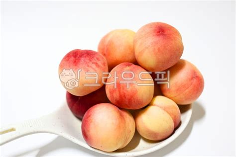 Food 음식 Fruit 과일 복숭아 사진 이미지 일러스트 캘리그라피 현이와정이작가