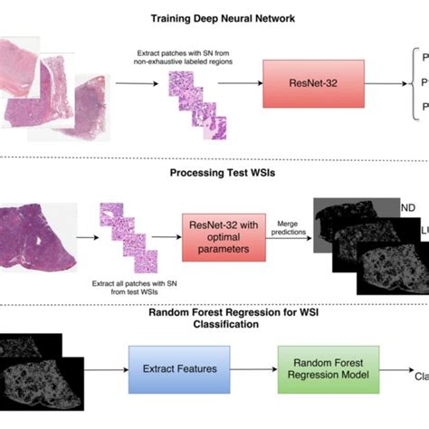 Overview Of The Nsclc Classification Framework A Workflow For