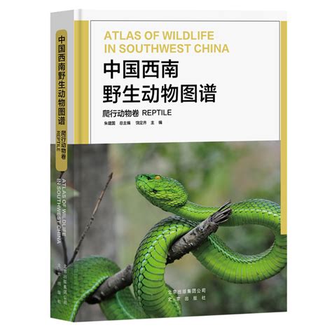 正版包邮我国边疆的中国认同及其影响因素研究何博中国社会科学出版社社会科学书籍江苏畅销书 虎窝淘