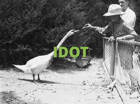 Idot Meaning