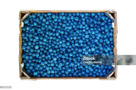 흰색 배경 상단 보기에 격리 된 판지 용기의 블루 베리 과일 블루베리 또는 백시늄 코람보섬 상자 블루베리에 대한 스톡 사진 및