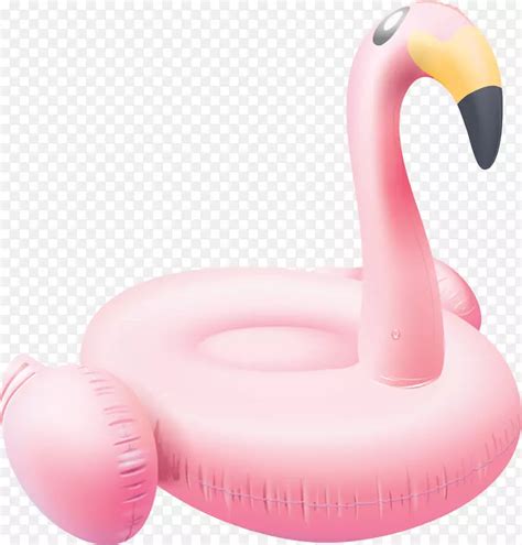 Png Png