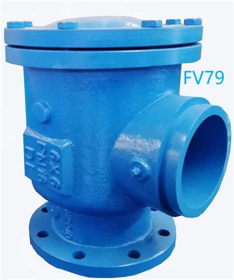 Flange Connection Big Cast Iron Valve Strainer Ductile Iron Suction Diffusers Suction