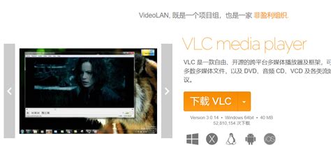 Vue Flv Js Dome