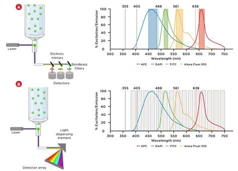 Spectral Flow Cytometry A Detailed Scientific Overview