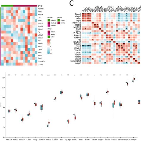 Correlation Analysis Between The Differentially Expressed Mmp Related Download Scientific