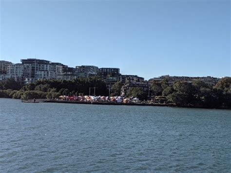 호주 1분 힐링여행 도심 속 숲속 Bicentennial Park 시드니 올림픽 공원 네이버 블로그