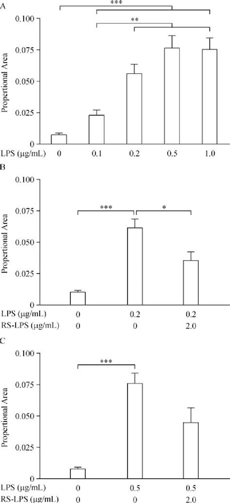 Microglia Activation State Evaluated By Proportional Area Measurement Download Scientific