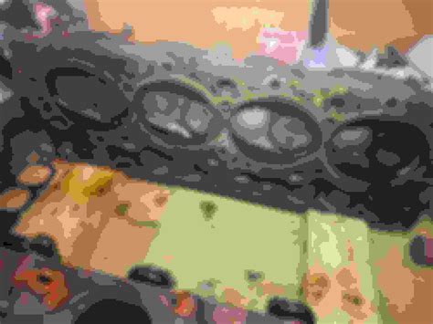 Compression Reading Page 2 Corvetteforum Chevrolet Corvette Forum