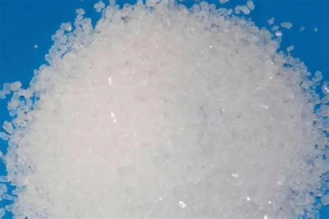月季花什么时候用磷酸二氢钾 藤本月季网