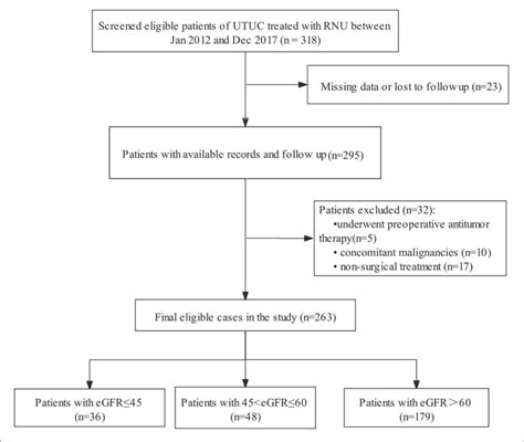 Patient Selection Flowchart Download Scientific Diagram