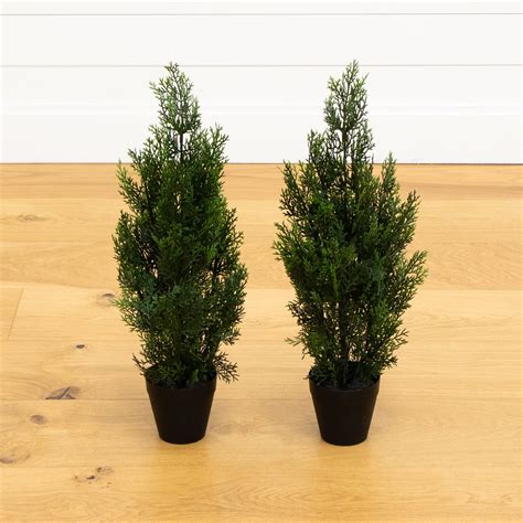 2 Mini Cedar Pine Tree Uv Resistant Indooroutdoor Set Of 2