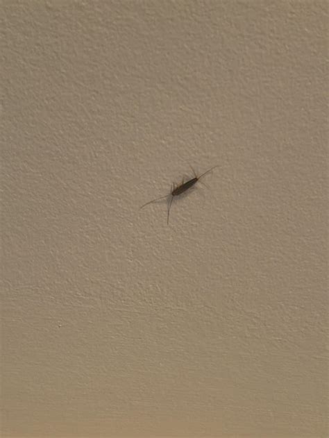 Is This A Cockroach Rcockroachdb