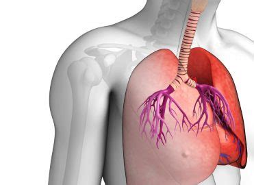 Reach Full Capacity Of Pulmonary Function Test Coding AAPC Knowledge Center