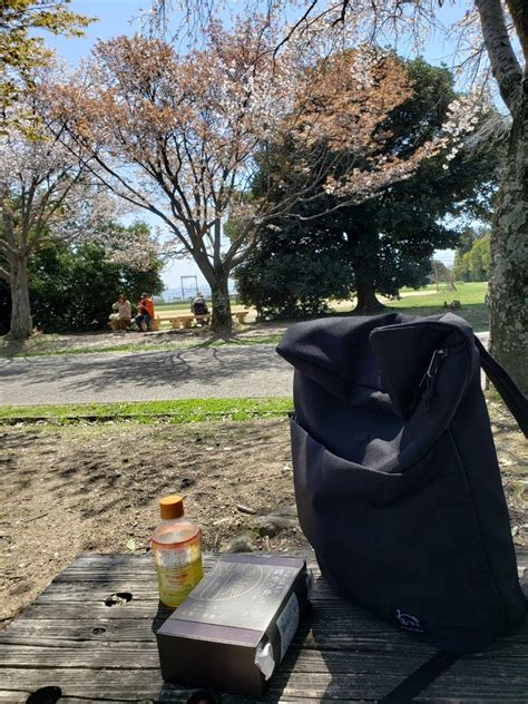 0530 起床 気分快 晴 奈良法華寺巡行【秘仏に会いに行こう№01】その2 とてつもなく広い領域は、ほぼ何もない空間で、桜が満開！ に