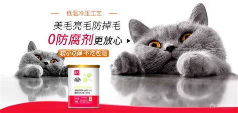 南京盖夫生物科技有限公司是一家专注于宠物营养保健品的企业，专注宠物营养健康 宠物企业