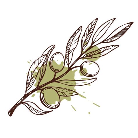 30 Tree Scetch Drawing Illustrations Royalty Free Vector Graphics