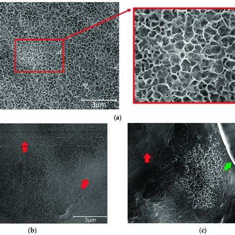 The Surface Of The Specimens From Series Hydrophilic Sem A