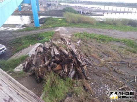 影／彰濱海岸漂流木 南投林管處將開放民眾撿拾 地方 Nownews今日新聞