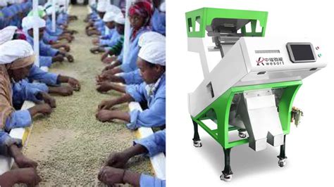 Agricultural Equipments Coffee Beans Sorting Machine Cocoa Bean Color