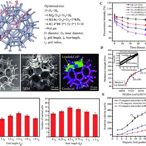Pdf Development Of Magnet‐driven And Image‐guided Degradable Microrobots For The Precise