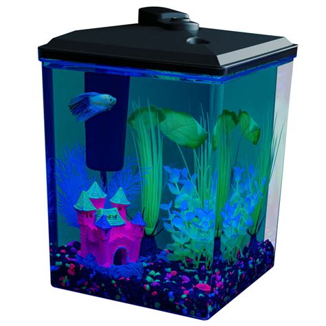 Glofish 5 Gallon Aquarium With Glow Fish Tetras And All 58 Off