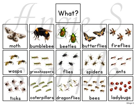 bugs and insects activity sentence building speech therapy autism