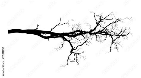 Dry Tree Branch Vector Shape Design Stock Vector Adobe Stock