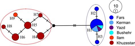 Median‐joining Network Of Cr Sequences Of Urva Edwardsii In Iran Download Scientific Diagram