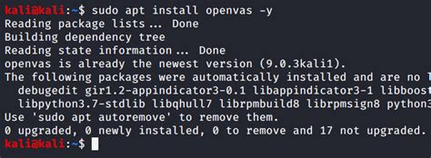 Install And Configure OpenVAS CyberWiki Encyclopedia Of Cybersecurity